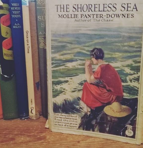 The Shoreless Sea by Mollie Panter-Downes – Stuck in a Book