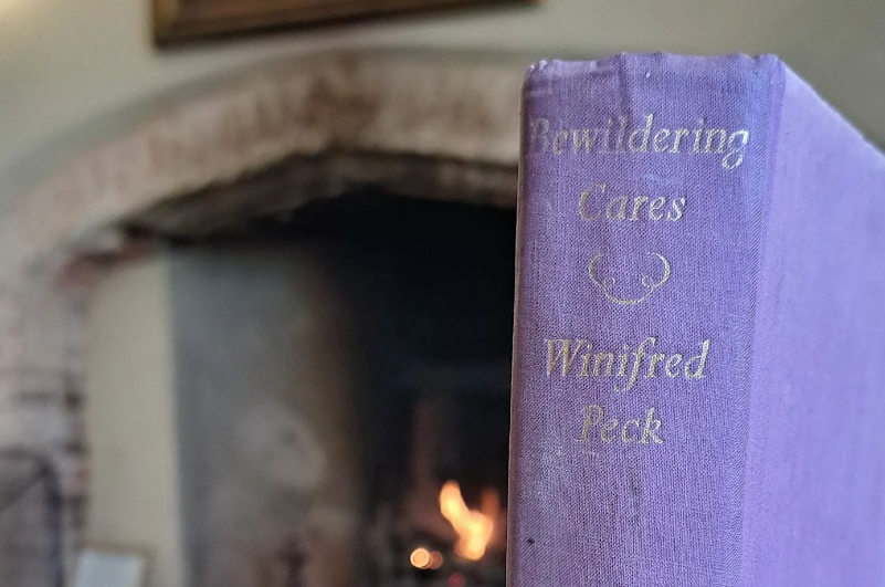 Bewildering Cares by Winifred Peck – #1940Club – Stuck in a Book